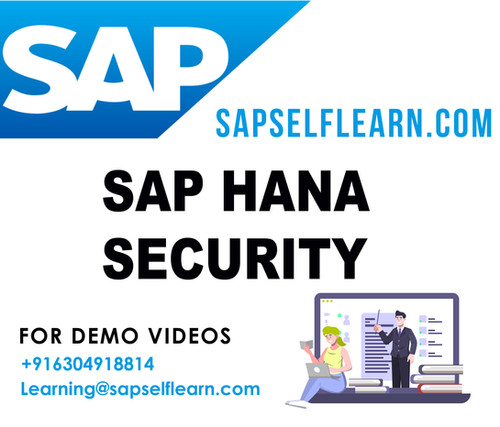 SAP HANA Security | SAPSELFLEARN