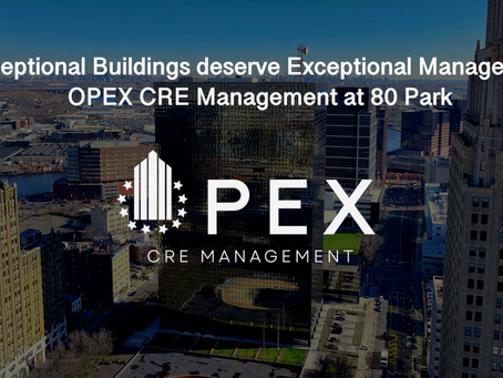 BLOG | OPEX Management