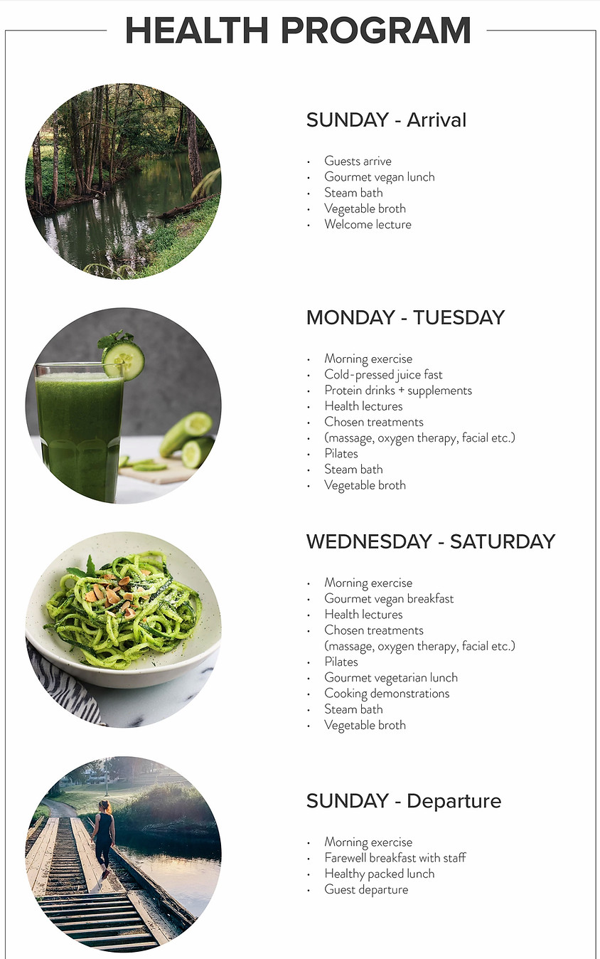 Misty Mountain Health Retreat | Our Program