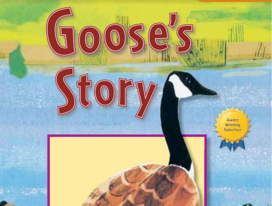 Story Review of Goose’s Story