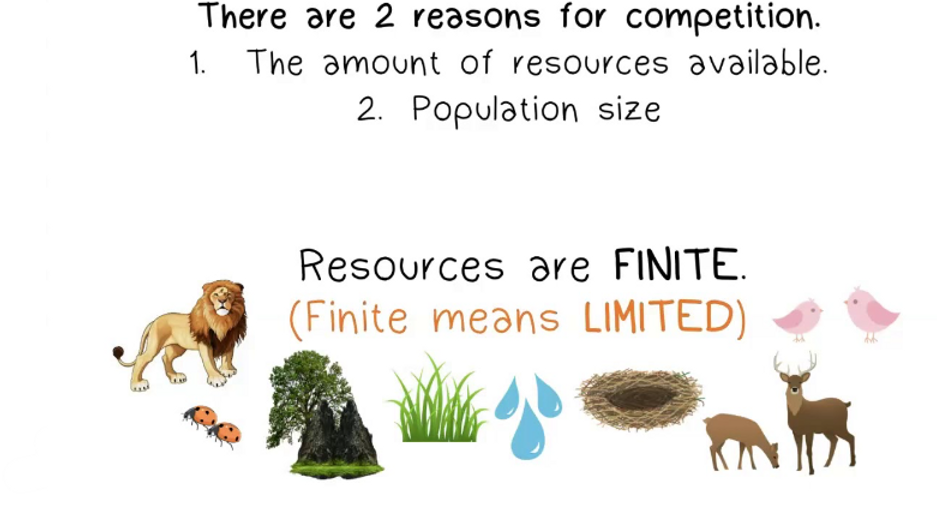 Why Competing? What’s the solution?