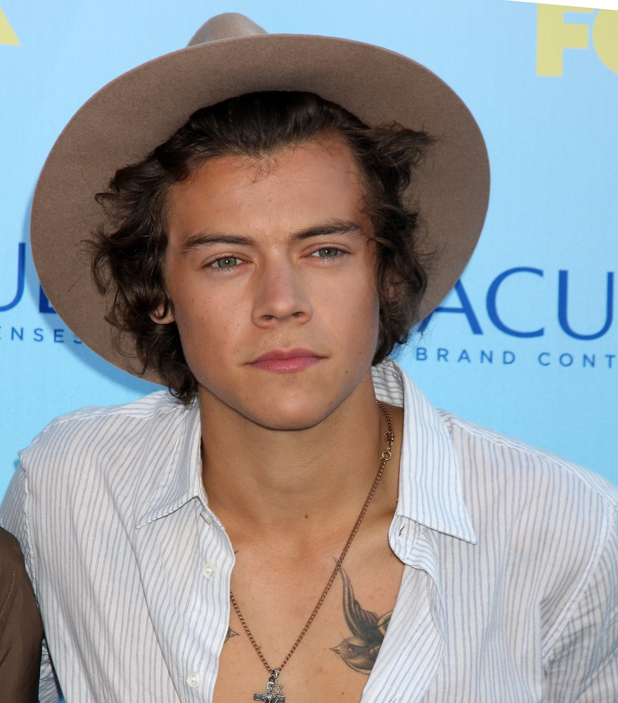 Harry Styles zodiac sign - Astrology confirms the singer's a born “genius”