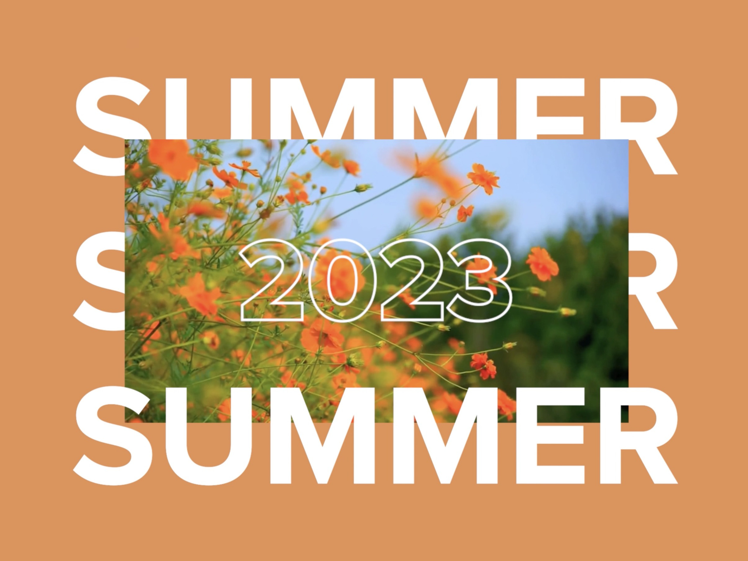 Summer 2023 School Graphics