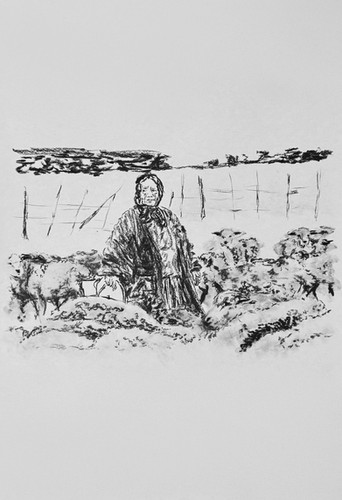 Nalí and Her Sheep | Joy Marie Curtis