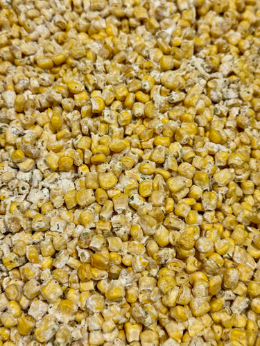 Ranch Corn | JoJo's FDed Goodies