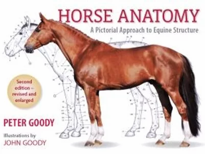 Horse Anatomy: A Pictorial Approach to Equine Structure (2nd Edition ...