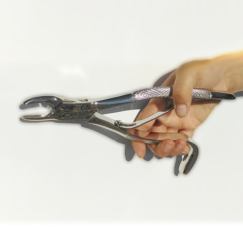 Wolf Tooth/Incisor Forceps | EVDS