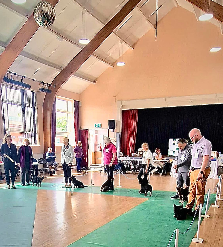 The Lancashire Heeler Club Open Show - 14 May 2023 Results