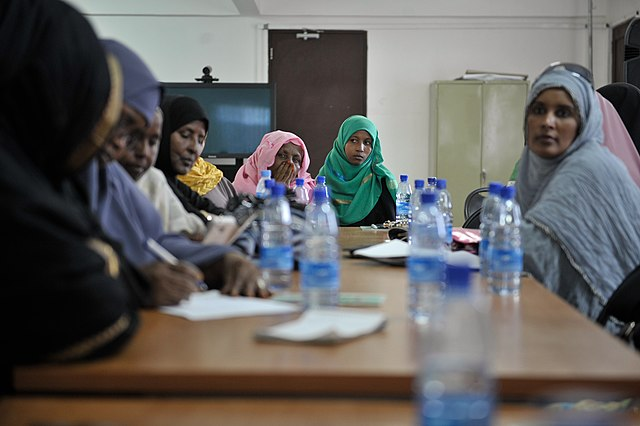 Gathering life histories of former Al-Shabaab members