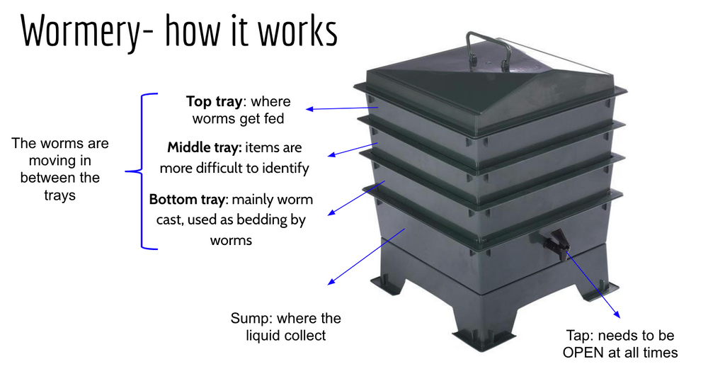 Why wormeries are a must have for food gardens