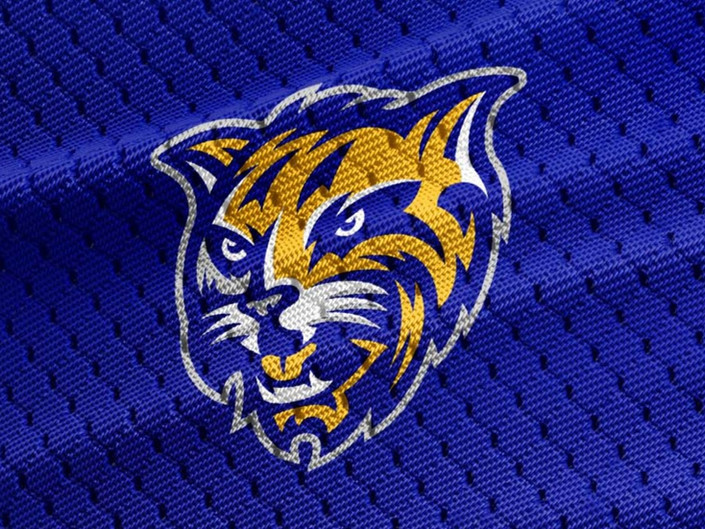 Portfolio | Brandcat Creative