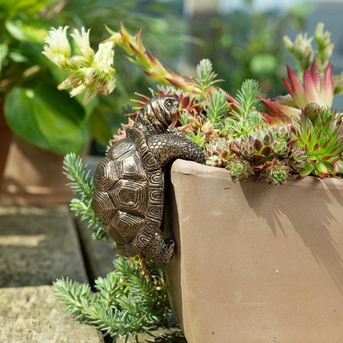Tortoise Pot Hanger | Oak Apple Plants