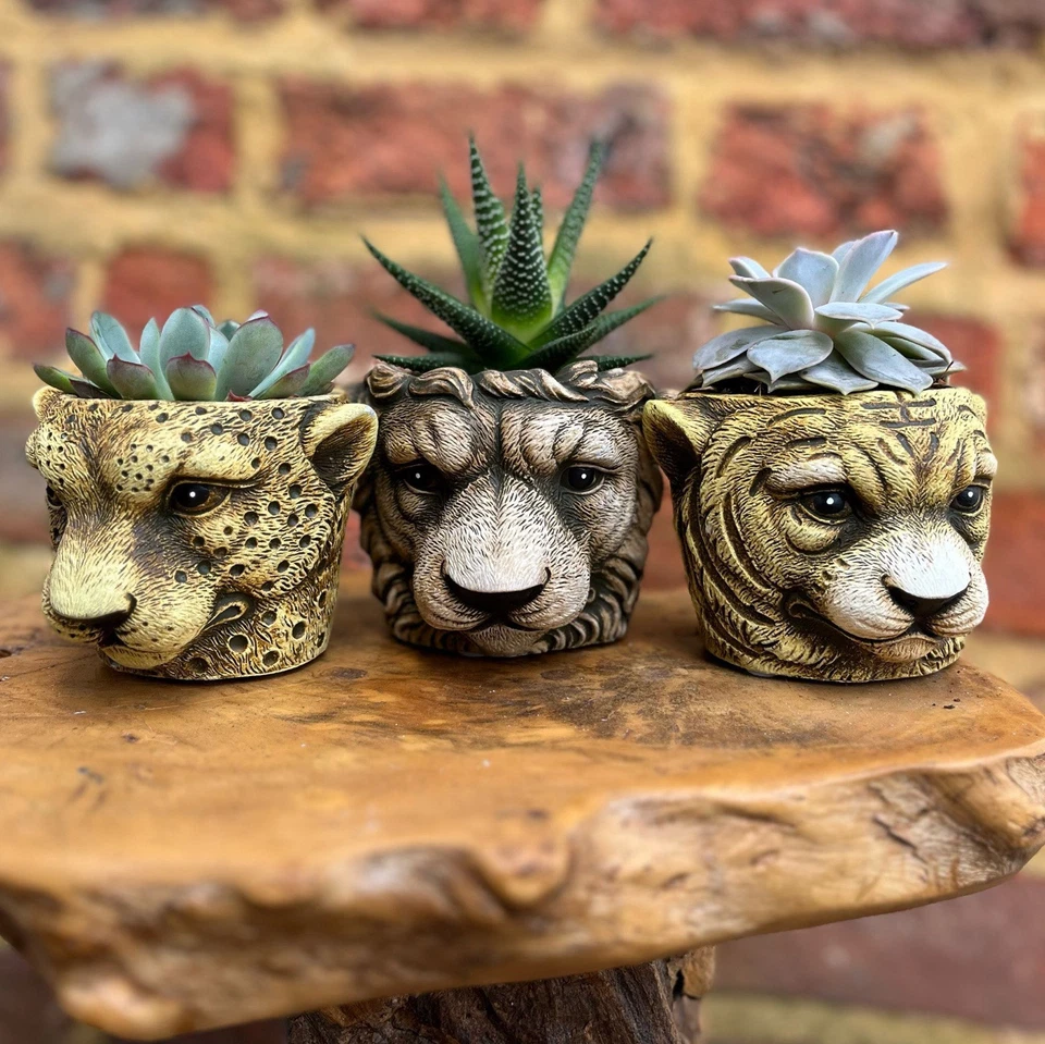Wild Cat Plant Pot - Tiger | Oak Apple Plants
