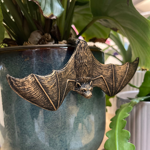 Bat Pot Hanger | Oak Apple Plants