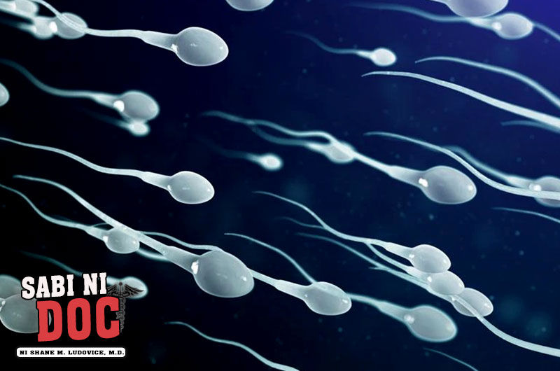 Alamin: Dahilan kung bakit malabnaw ang semilya ng lalaki