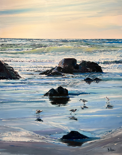 Birds of Dillon Beach | Oli Gallery
