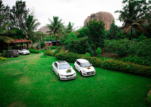 Mountain Bear Gallery | Wild Valley