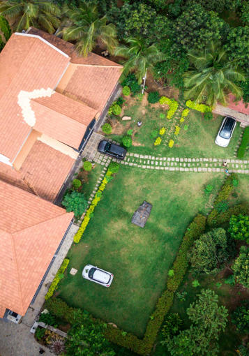 Mountain Bear Gallery | Wild Valley