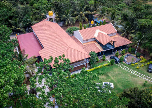 Mountain Bear Gallery | Wild Valley