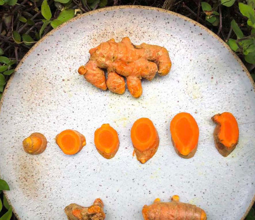 1Lb: Hawaii-Island-Grown, Fresh Raw Turmeric Root. | Rooster Farms Shop