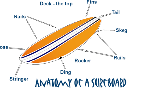 Homeschool | United States | Surf Skate Science | South Florida