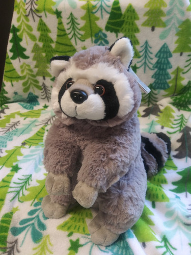 Adopt the Raccoon | WildlifeSWFL.org