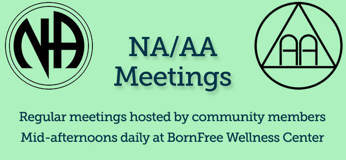 Coming Soon: NA/AA Meetings