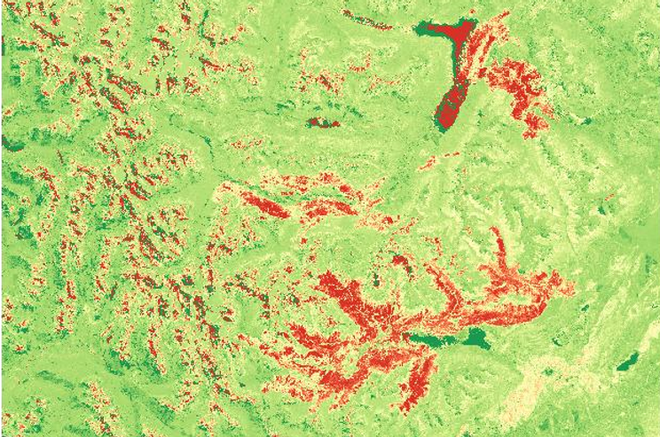 Remote Sensing in Forest Fire