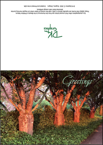 Orange Tree Trunks Greeting Card | Pinball Art USA