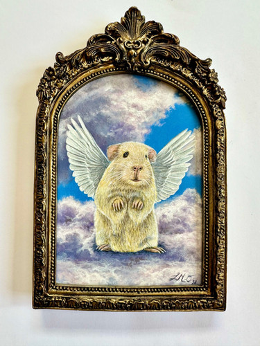 Guinea Porcus Columba - Myomorphia Series | louisemcnaught