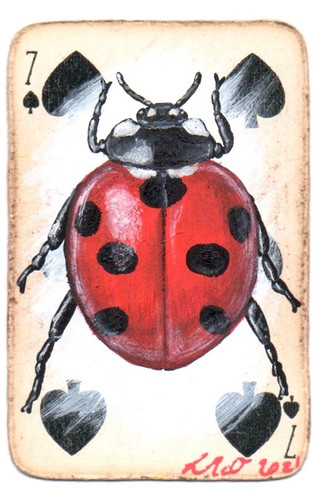 Red Seven Spot Ladybird - The Luck Collection | louisemcnaught