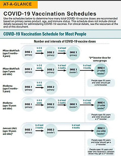 COVID-19 Info & Vaccine | Arkansas Immunization Action Coalition ...