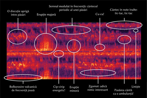 Sunetul vulcanilor - pentru scoala din Beslii, leat 1784
