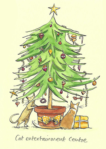 Karte - *Cat Entertainment Center* | duftbar