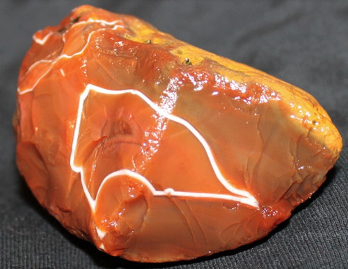 8.3 Oz Sweet Red and White Bright Contrast Laker | timtagates