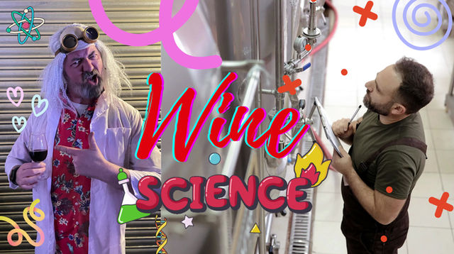 Malolactic Fermentation - what is it and what does it do?