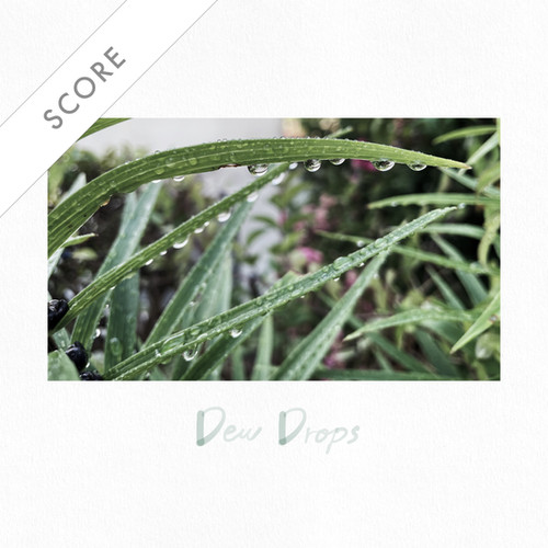 Dew Drops / PDF Score (a piece) | gogosatoshi