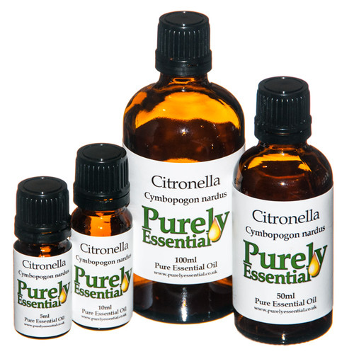 Citronella Essential Oil (Cymbopogon nardus) | Purely Essential