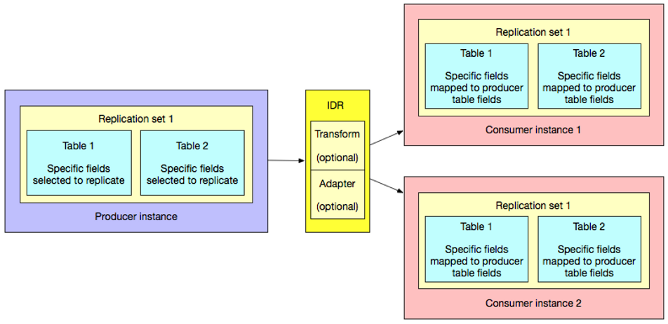 Instance Data Replication Idr