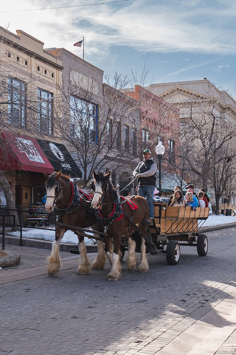 Freezy Daze | Downtown Greeley
