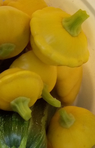 Courge Pâtisson Jaune mix' | lacroiseedescultures