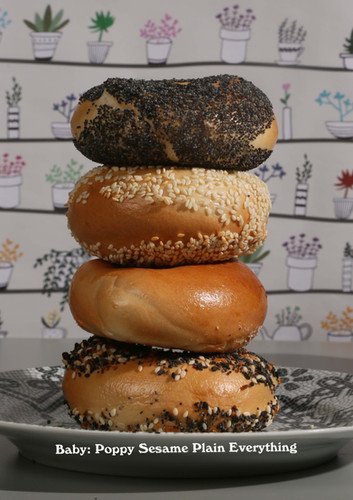 BABY BAGEL PACKAGE (six-pack) | s2s Bagels