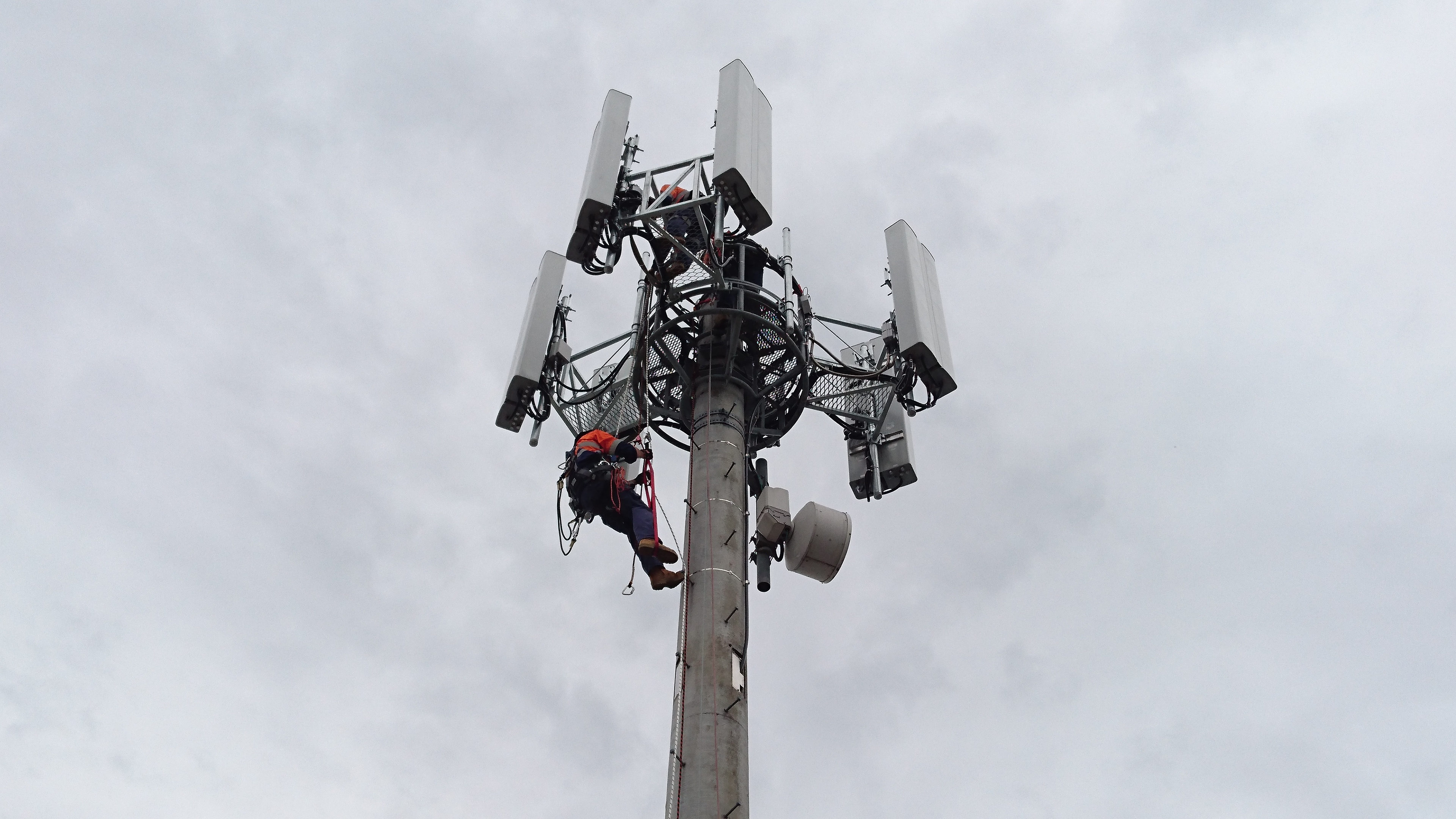 TRAC International | Australia | Home