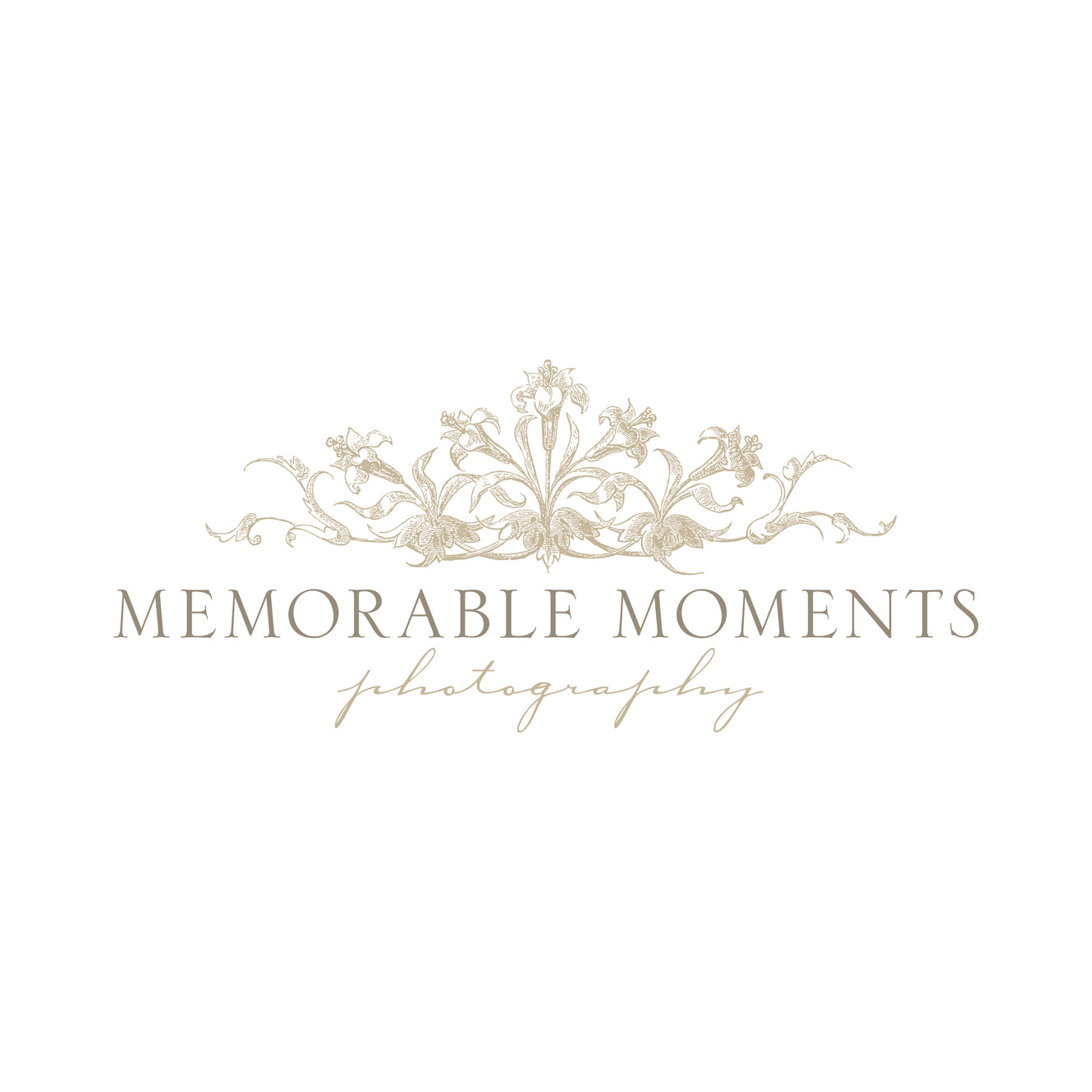 Memorable Moments Photography Lapeer, MI