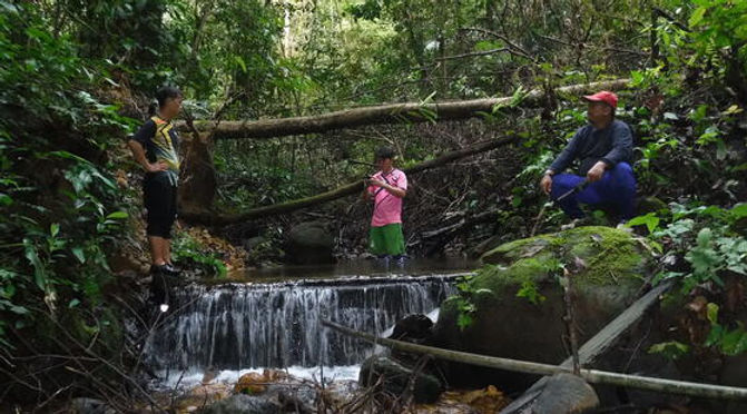 BORNEO RAINFOREST COMMUNITIES COMPLETE 15-YEAR MAPPING EFFORT