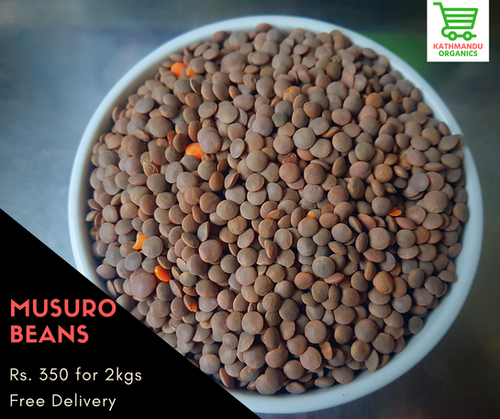 Local Red Musuro Dal - 1kgs | Kathmandu Organicshttps://static ...