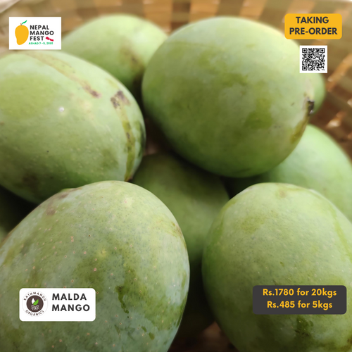 Malda Mango - 5kgs | Kathmandu Organicshttps://static.wixstatic.com ...