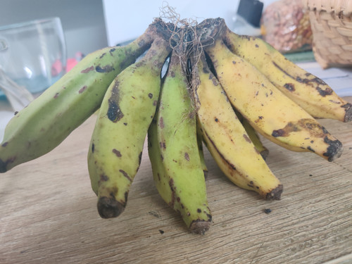 Local Banana- 12pcs | Kathmandu Organicshttps://static.wixstatic.com ...