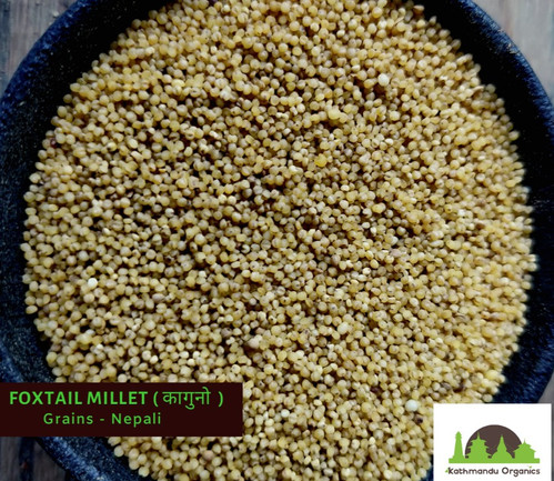 Foxtail Millet Kaguno Gluten-free Superfood - 1kg | Kathmandu Organics
