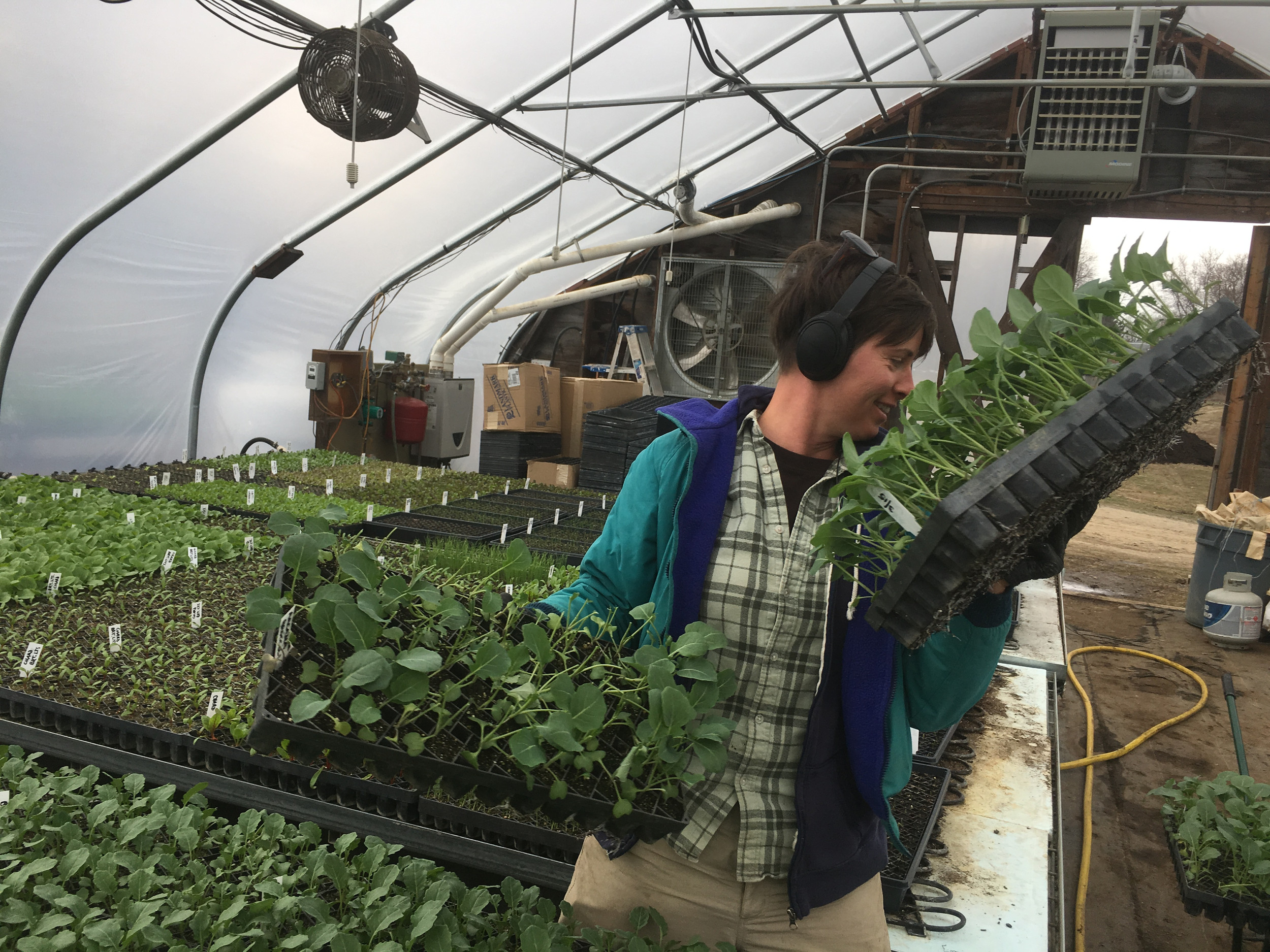 Farm News | Hearty Roots Farm | New York